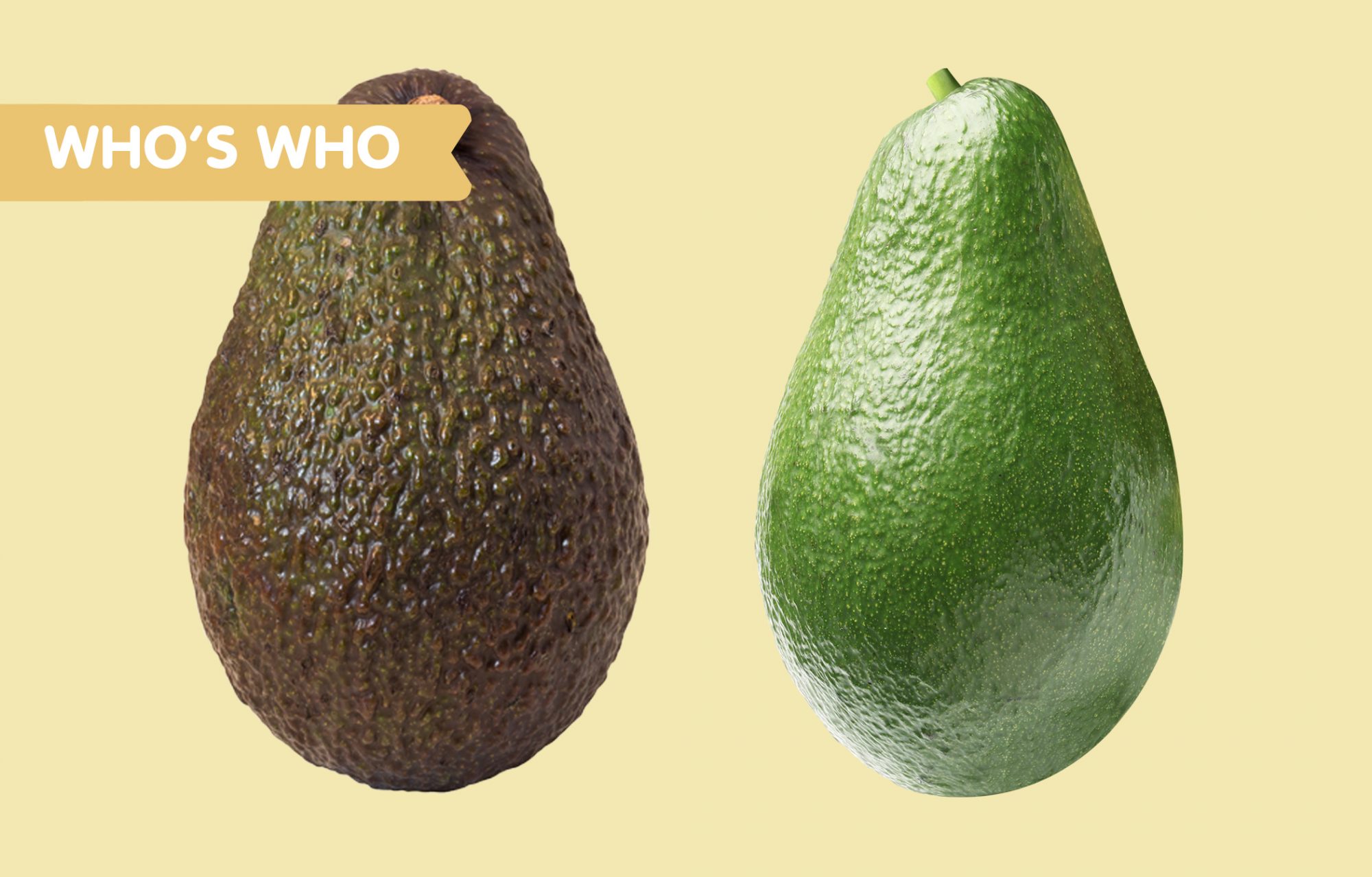 Home - Australian Avocados