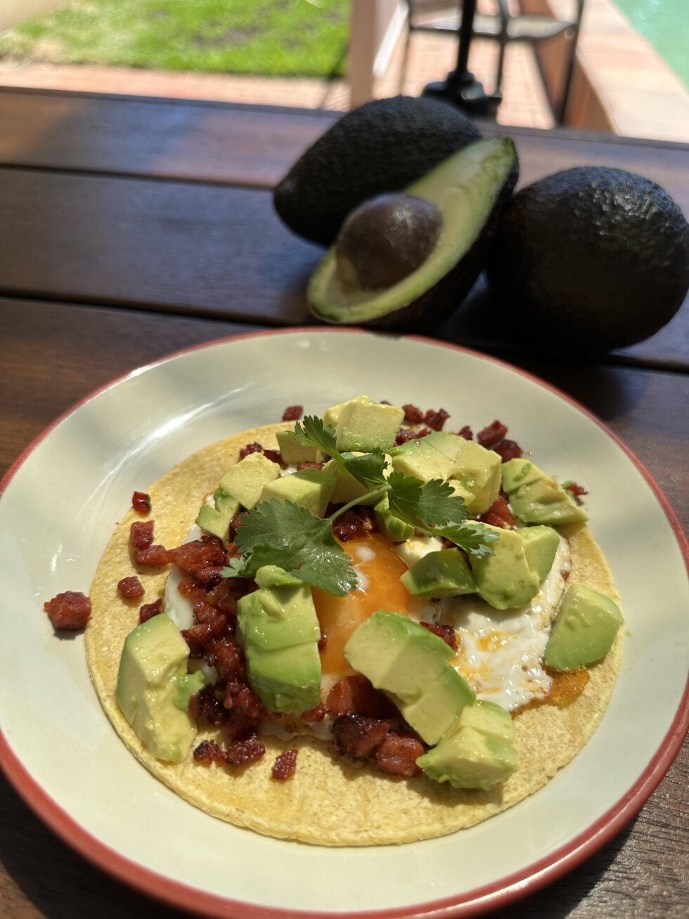 Avocado and Chorizo Breakfast Taco - Australian Avocados