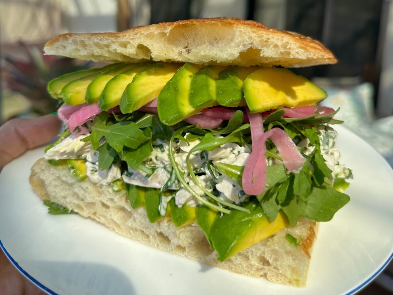 Poached Chicken Avocado Salad Sandwich - Australian Avocados